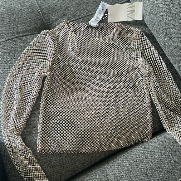 Zara | Tops | Nwt Zara Shimmer Mesh Crop Top Ref 272316 In Color Glass ...